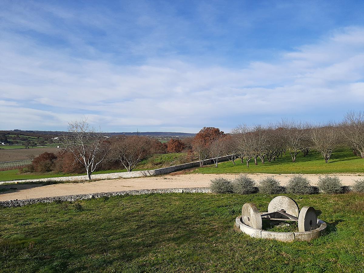 Foto Alberobello Valle d'Itria | Trulli Panoramici